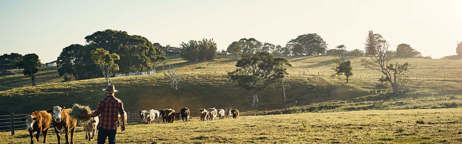 One Health EJP: time to assess the results | Anses - Agence nationale ...